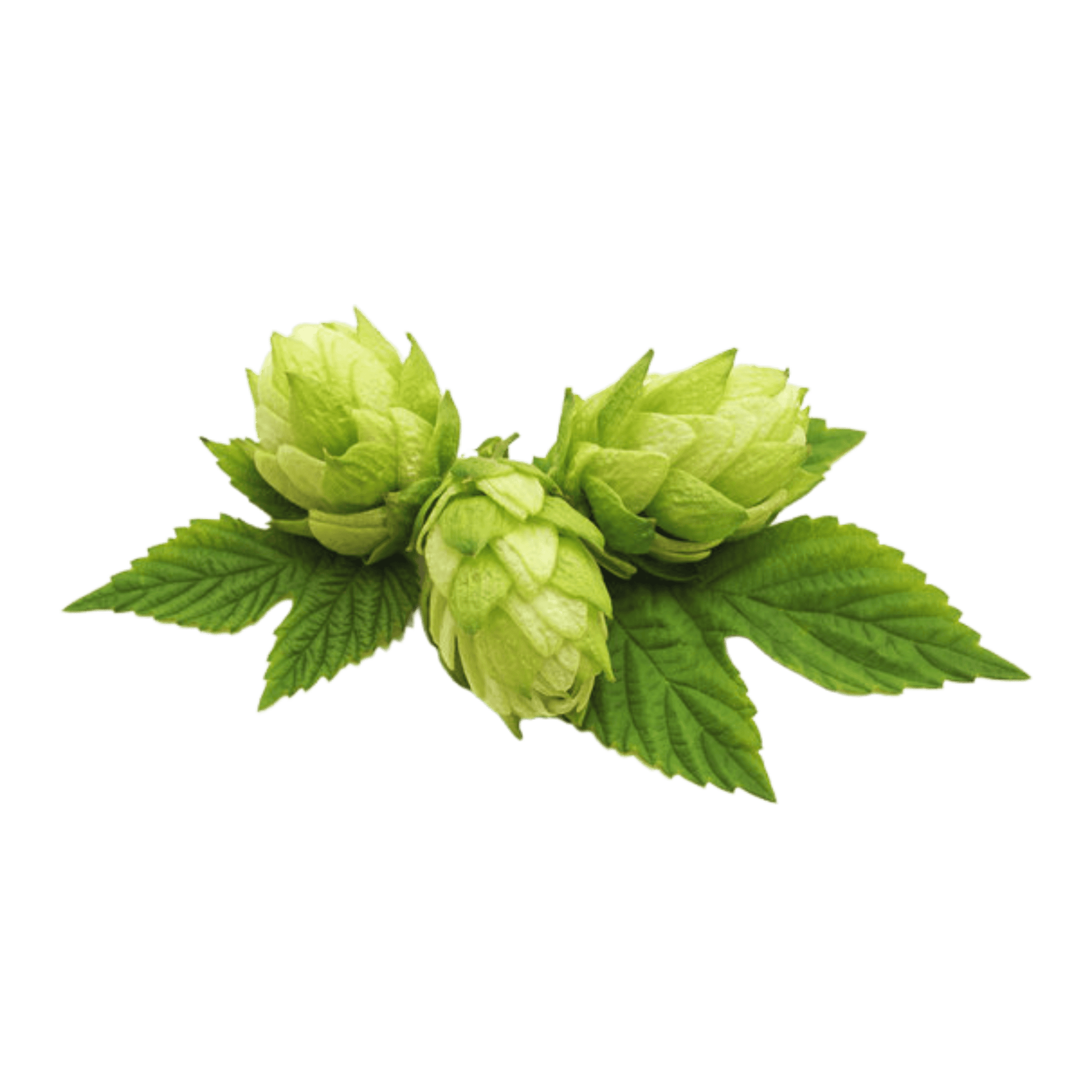 Three Spirit GB | Non-Alcoholic Drinks | Functional Drinks – Three ...